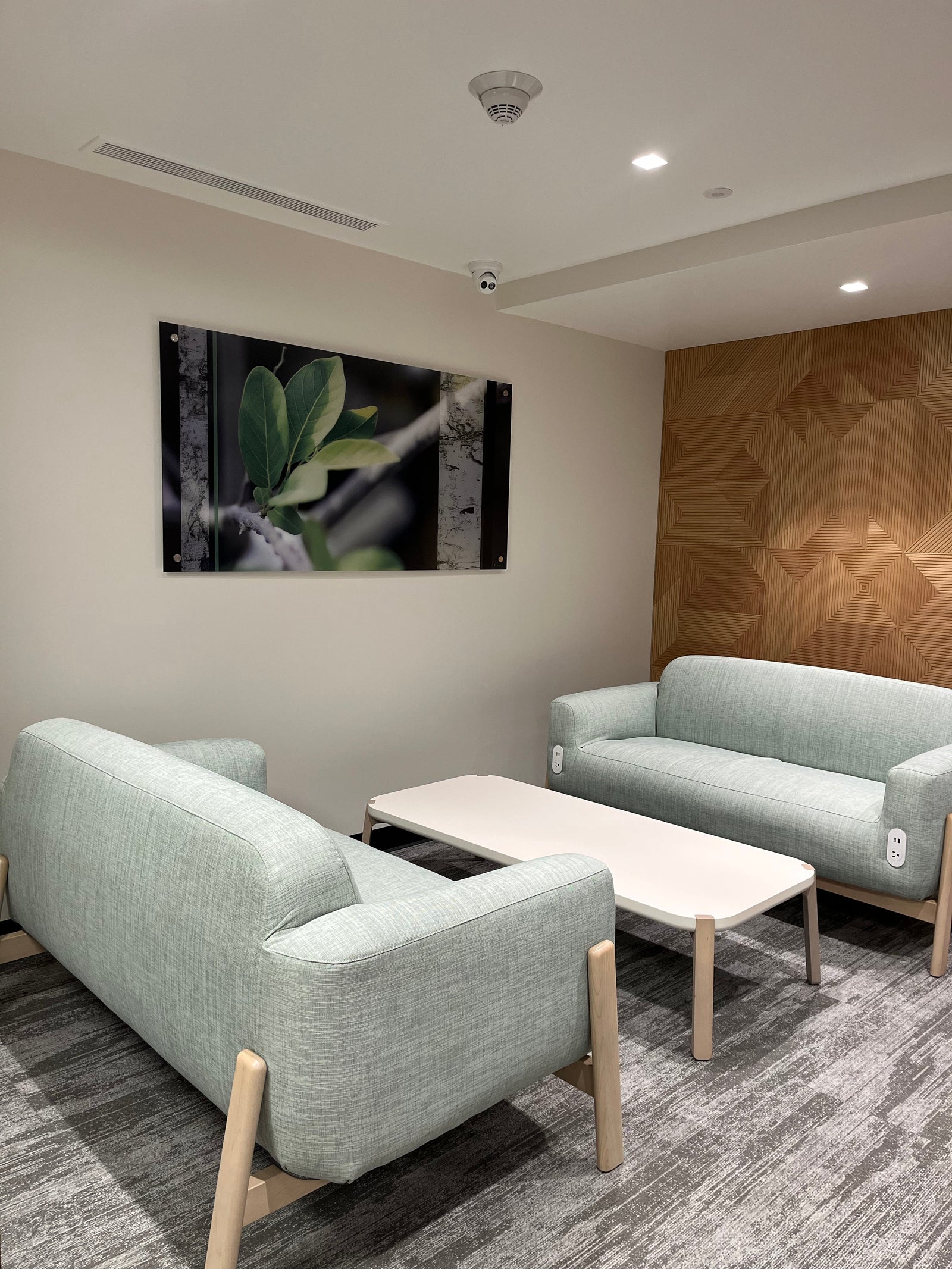 Collections - MOSS | Wellness Workspace